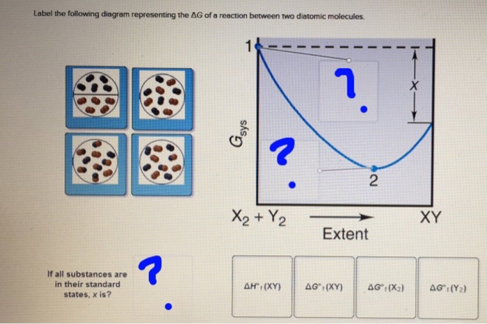 Label the following diagram representing the Delta G | Chegg.com