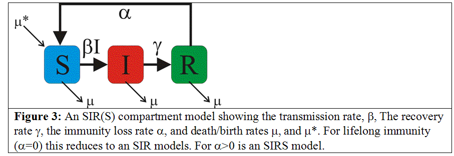 Solved How would an SIR model need to be changed if the | Chegg.com