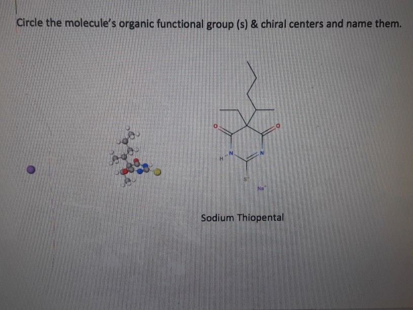 Solved Circle the molecule's organic functional group (s) & | Chegg.com
