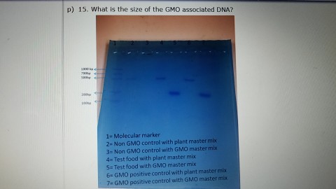 Solved m) 12. plant associated sequences are a. CaMV 35S | Chegg.com