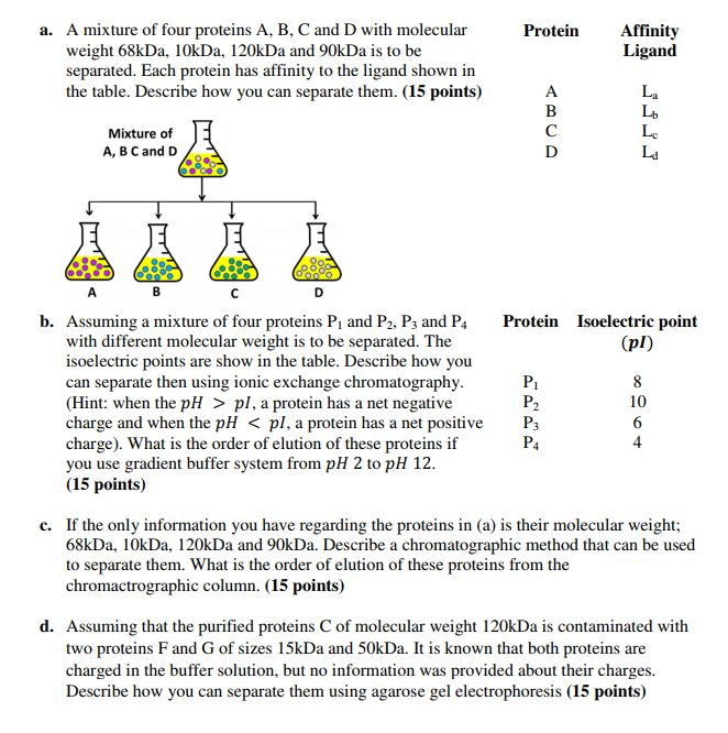 Solved Affinity Ligand A mixture of four proteins A, B, C | Chegg.com