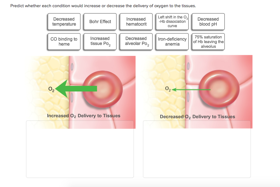 Solved Predict whether each condition would increase or | Chegg.com