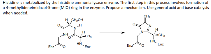 Solved Histidine is metabolized by the histidine ammonia | Chegg.com