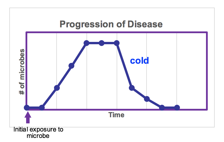 Solved Progression of Disease cold Time Initial exposure to | Chegg.com