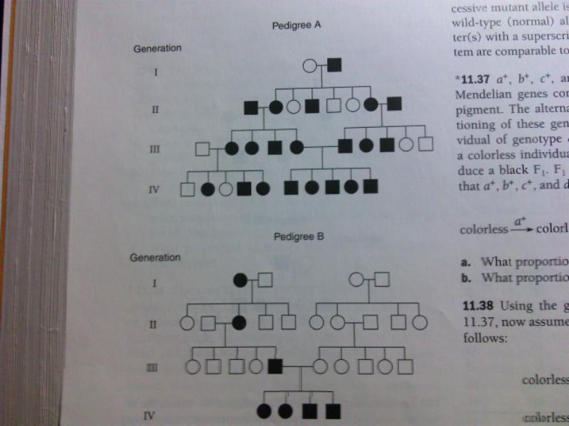 Question | Chegg.com