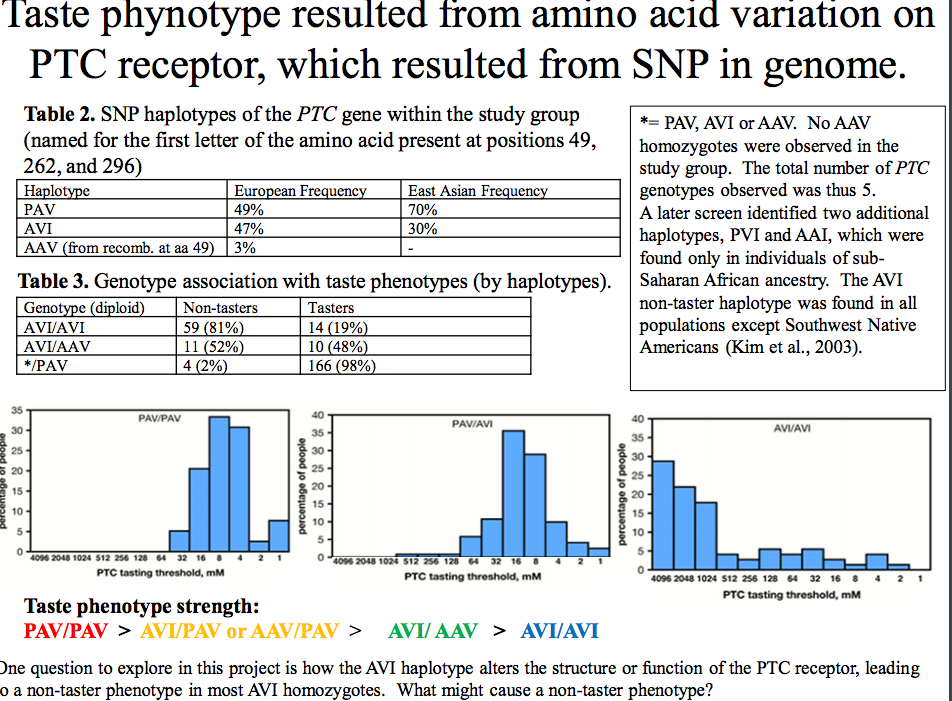Solved How to co-relate DNA sequence to protein | Chegg.com