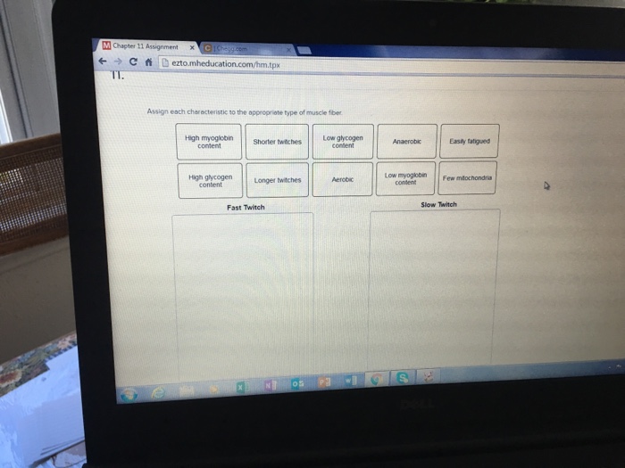 Solved Assign each characterize to the appropriate of muscle | Chegg.com