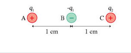 Solved What is the magnitude of the net electric force on | Chegg.com