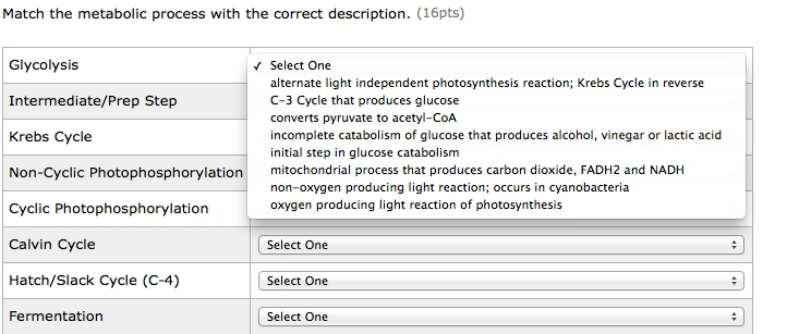 Solved Match the metabolic process with the correct | Chegg.com