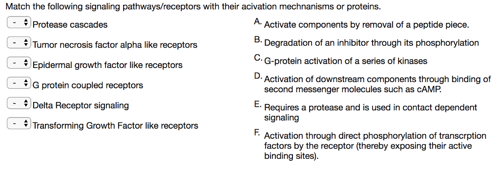Solved Match the following signaling pathways/receptors with | Chegg.com