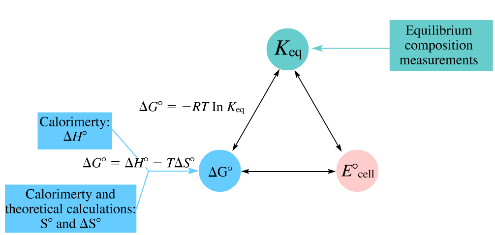 Solved Interactive Activity-The Relationship among Eocell, | Chegg.com