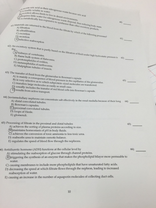 Solved Answers please | Chegg.com