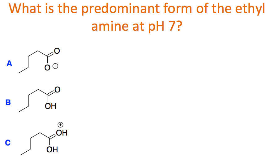 Solved What is the predominant form of the following at the | Chegg.com