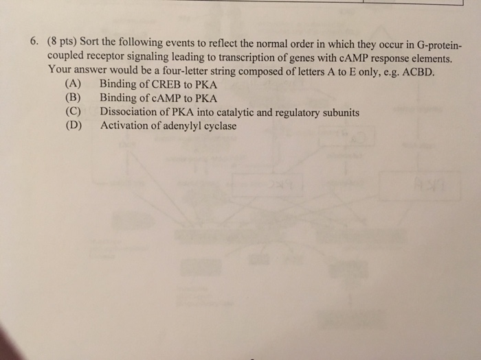 Solved Sort the following events to reflect the normal order | Chegg.com