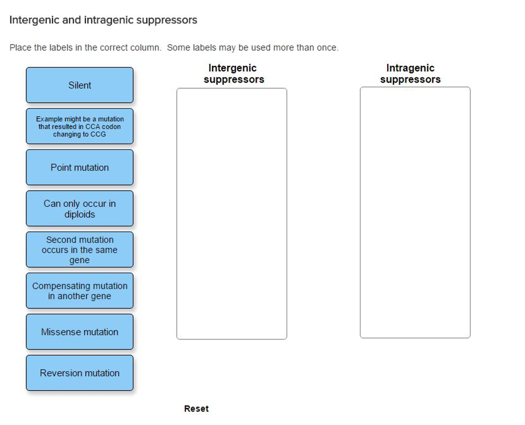Solved Place the labels in the correct column. Some labels | Chegg.com