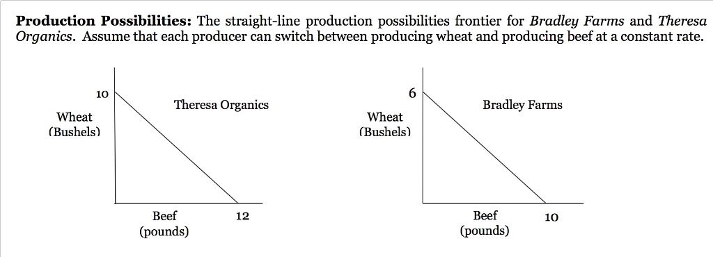 Solved Production Possibilities: The straight-line | Chegg.com