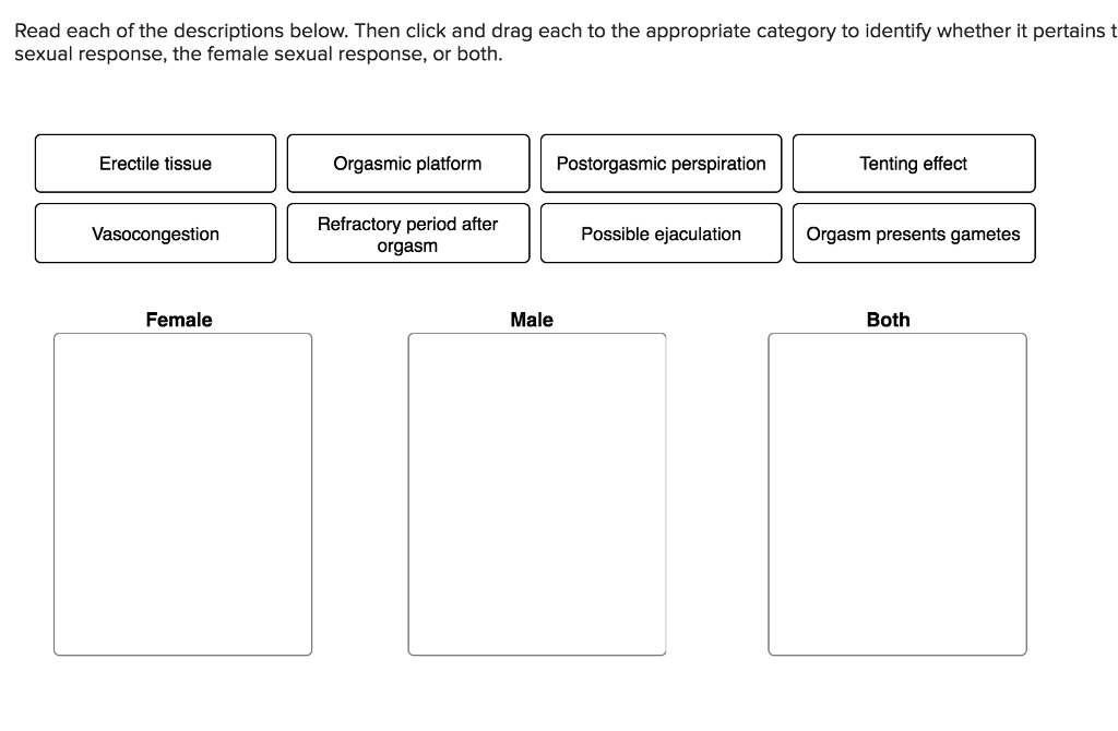 Solved Read each of the descriptions below. Then click and | Chegg.com