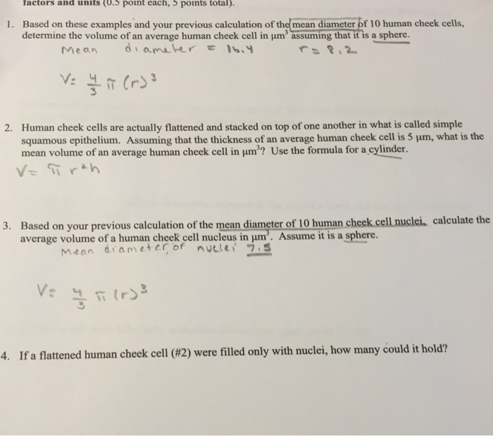 Solved Based on these examples and your previous calculation | Chegg.com