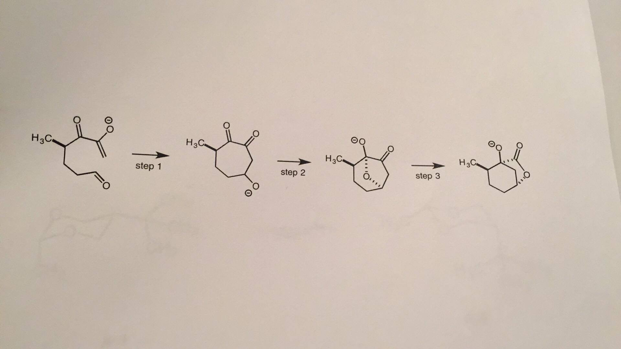Solved H3C HaC 3 H3C H3C 3 step 1 3 step 2 O, step 3 | Chegg.com