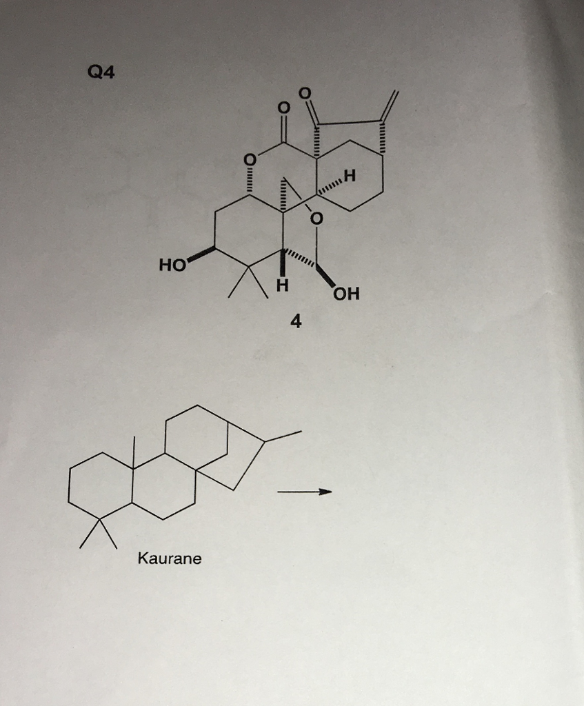 Solved 4. (15 pts) Compound 4 is a variant "kaurane" | Chegg.com