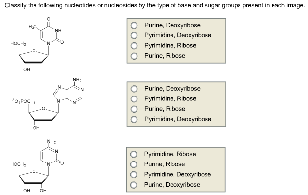 Solved Classify the following nucleotides or nucleosides by | Chegg.com