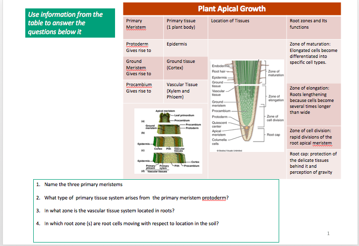 Solved Plant Apical Growth Use information from the table to | Chegg.com