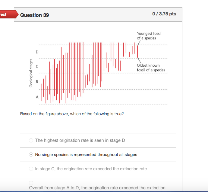 Solved Based on the figure above, which of the following | Chegg.com