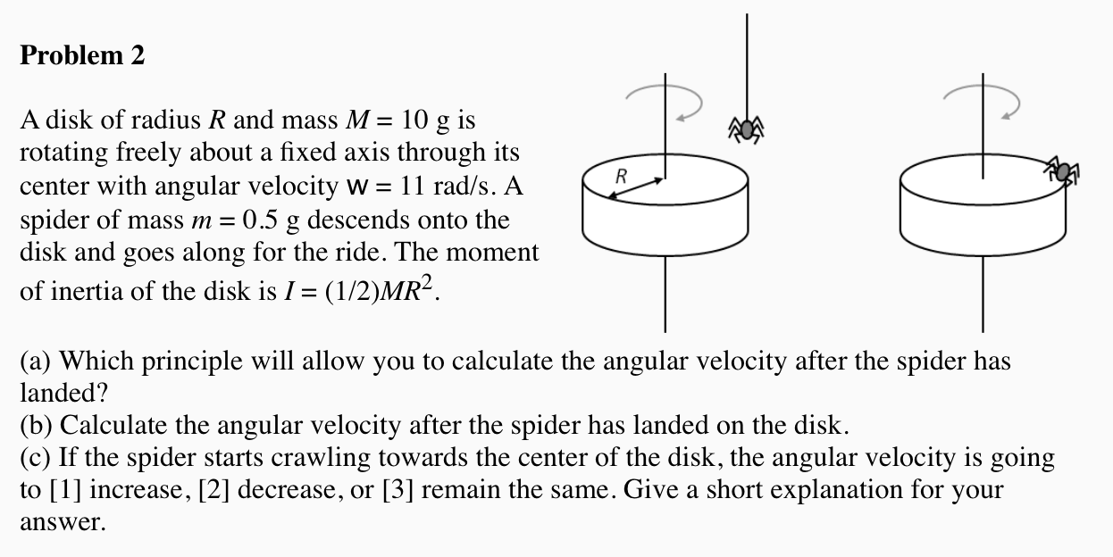 Solved A disk of radius R and mass M = 10 g is rotating | Chegg.com