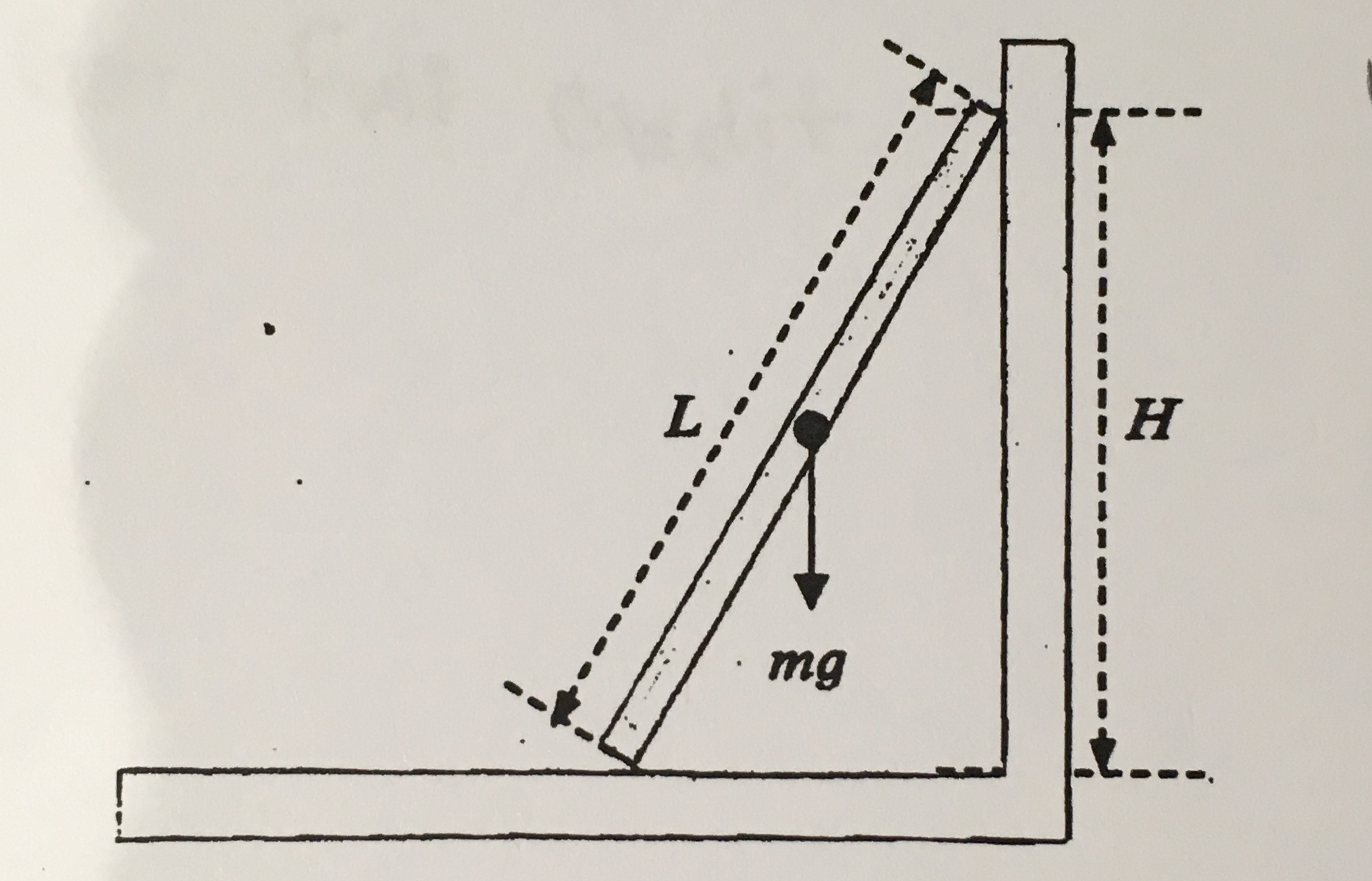 Solved A uniform ladder of mass m and length L leaning | Chegg.com