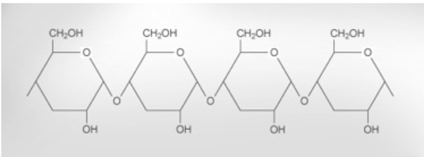 Solved The diagram below shows a portion of a starch | Chegg.com