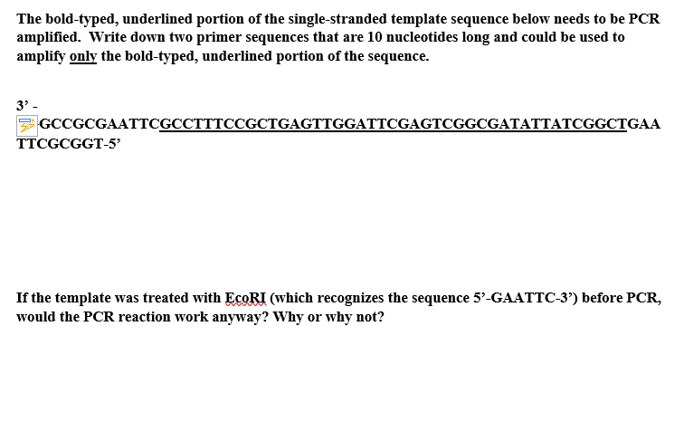 Solved The bold-typed, underlined portion of the | Chegg.com