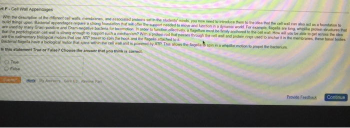 Solved rt F-Cell Wall Appendages With the description of the | Chegg.com