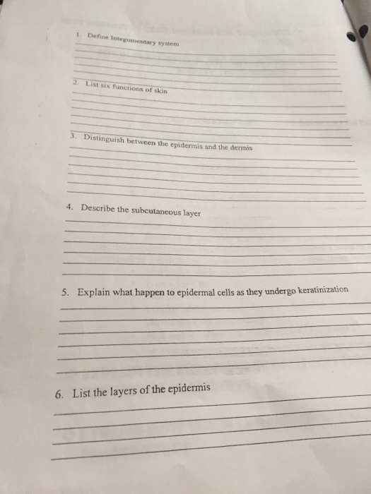Solved 1. Define Integumentary system 2. List six functions | Chegg.com