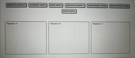 Solved The graph shows three reaction pathways for the same | Chegg.com