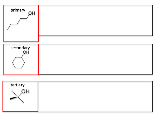 Solved primary oiH secondary OH tertiary OH | Chegg.com