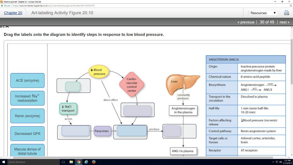Solved: Chapter 20 Art-labeling Activity Figure 20.10 Reso... | Chegg.com
