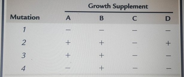 Solved Metabolic Block: what is the final product (goal) of | Chegg.com