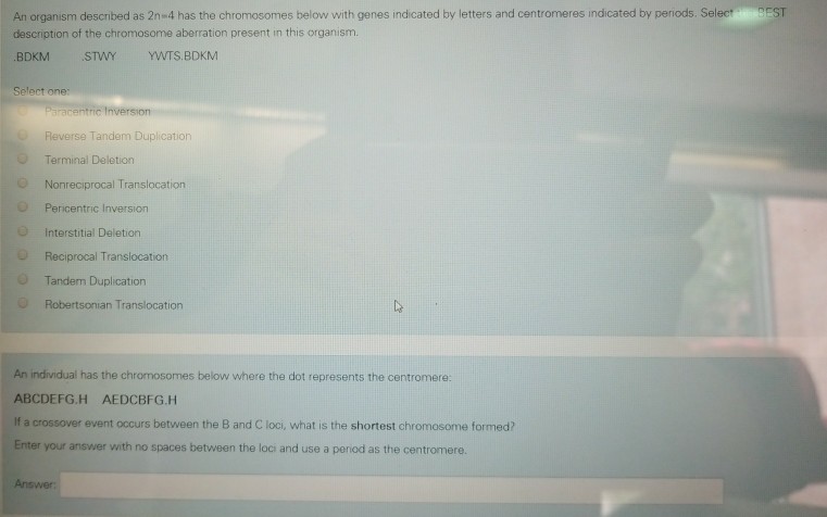 an-organism-described-as-2n-4-has-the-chromosomes-chegg