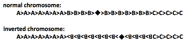 Solved Use the diagram below to answer the questions that | Chegg.com