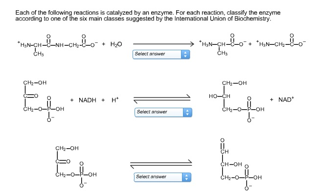 Solved Choices for first one: oxidoreductase, | Chegg.com