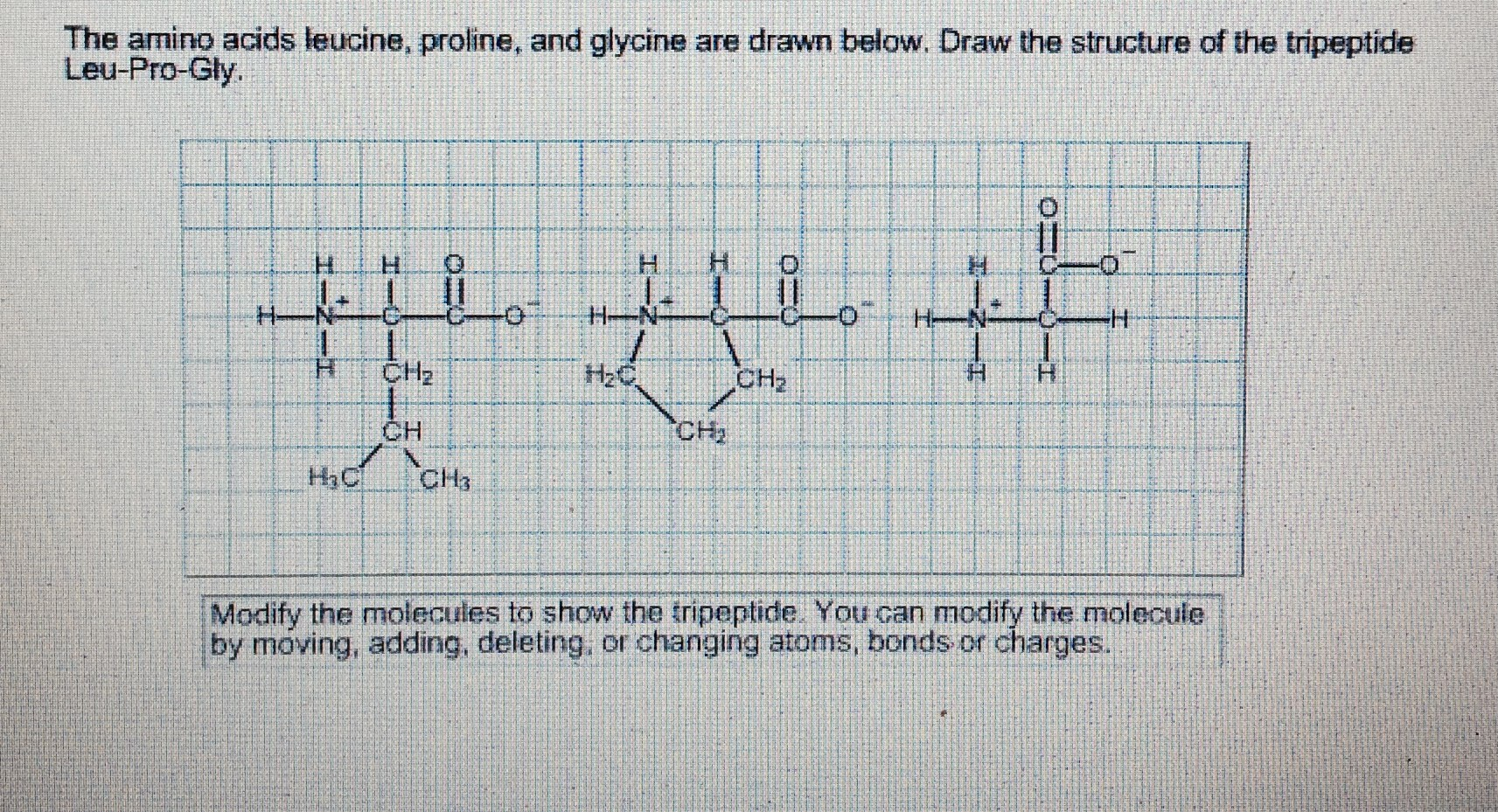 Solved The amino acids leucine, proline and glycine are | Chegg.com