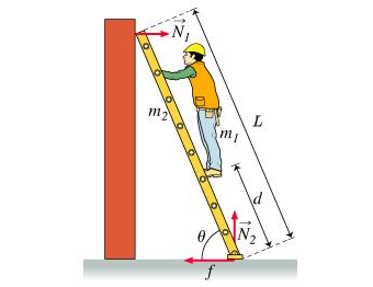 Solved A uniform ladder with mass m2 and length L rests | Chegg.com
