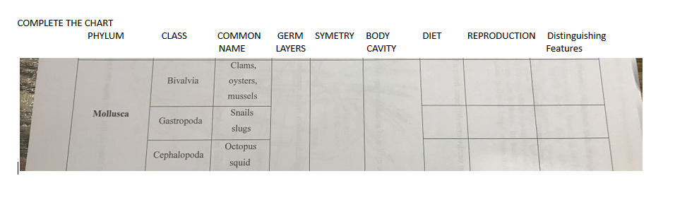 Solved COMPLETE THE CHART PHYLUM Mollusca CLASS COMMON GERM | Chegg.com