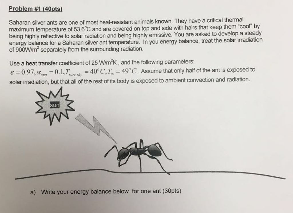 Saharan one of most heat-resistant animals known. | Chegg.com