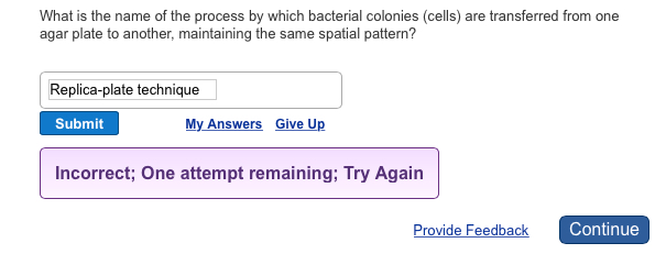 Solved What Is The Name Of The Process By Which Bacterial Chegg solved-what-is-the-name-of-the-process-by-which-bacterial-chegg
