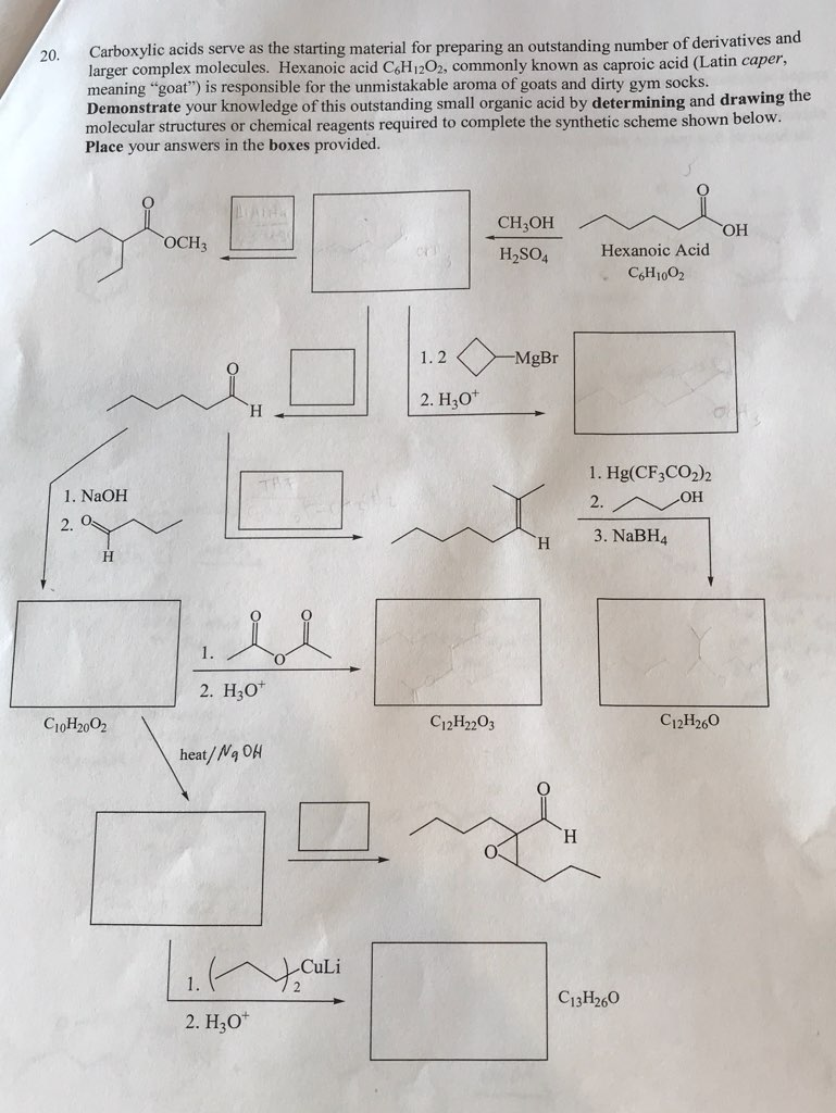 Solved 20. Carboxylic acids serve as the starting material | Chegg.com