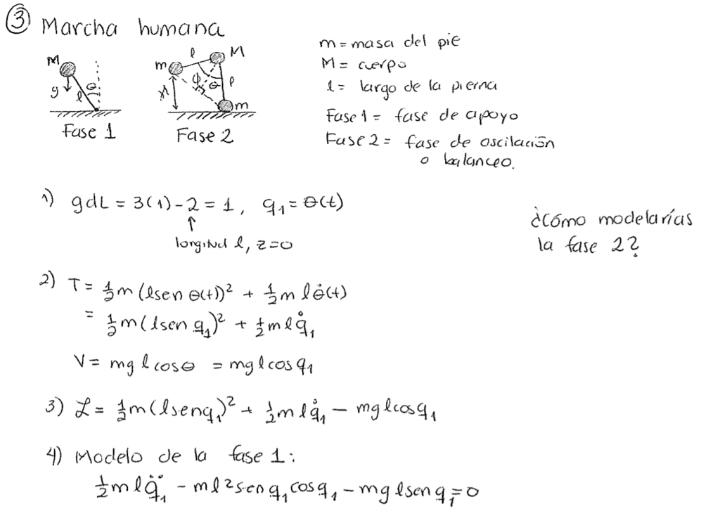 Solved How You Would Model Phase 2 Use Euler Lagrange 1544