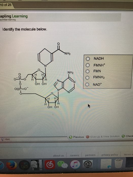 Solved Identify the molecule below. NADH FMNH^+ FMN | Chegg.com