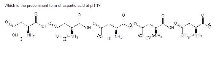 Aspartic Acid At Ph 1