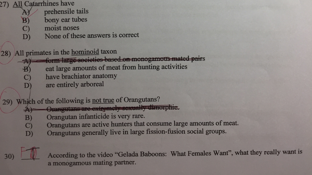 Solved 27) All C hines have prehensile tails bony ear tubes | Chegg.com